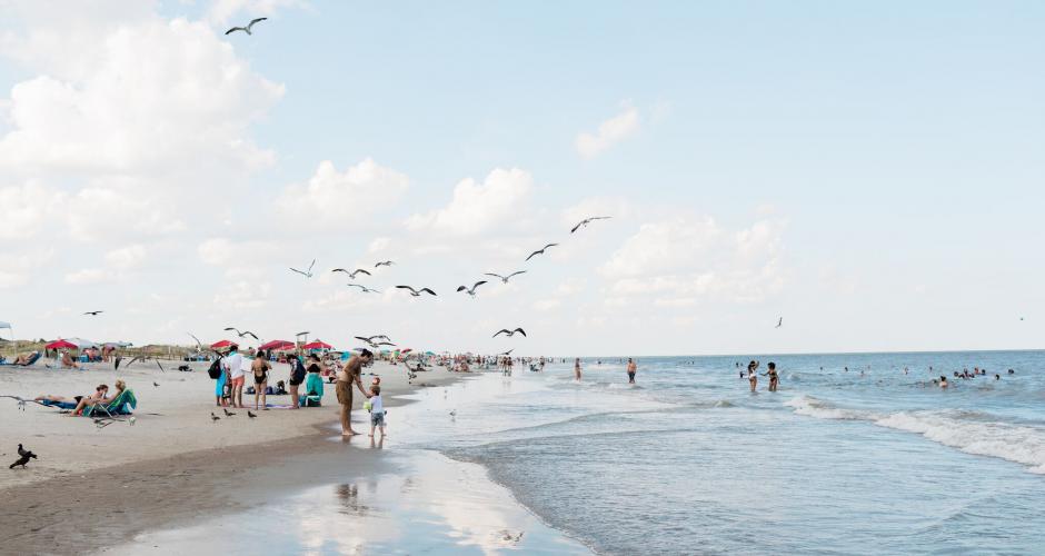 Visit Savannah | The Official Guide to Savannah, GA